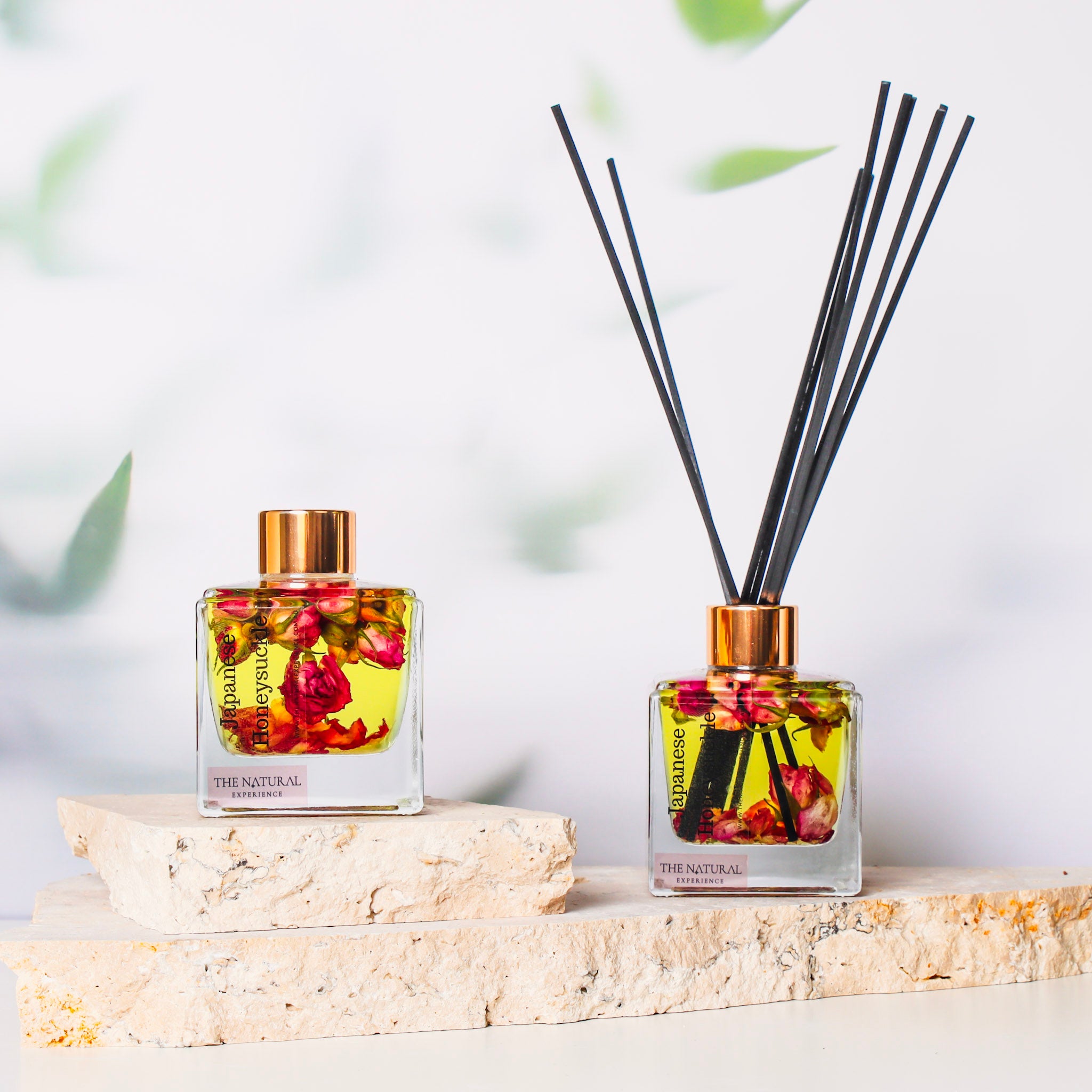 Japanese Honeysuckle – The NaturalExperience